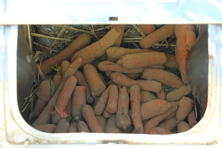 Un frigo naturel au jardin - l'Ortiellerie la fabrique à nature